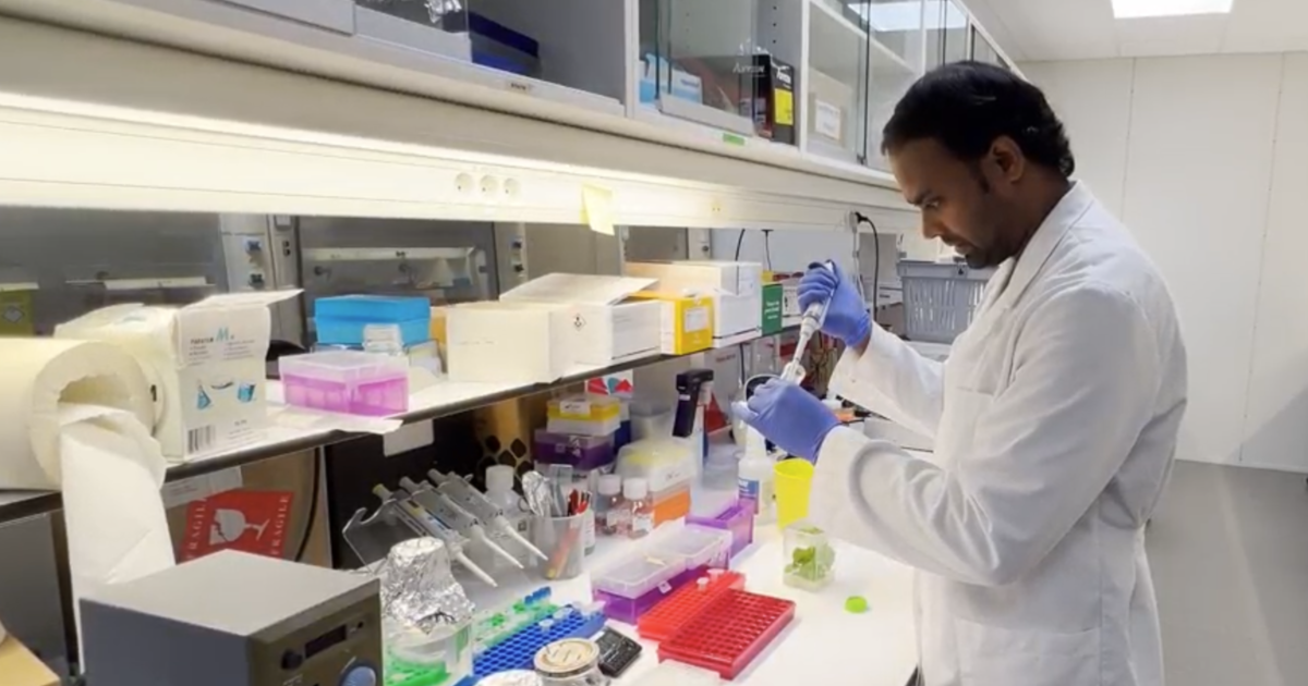 Steering bio-innovations with a 'Safe and Sustainable by Design ...