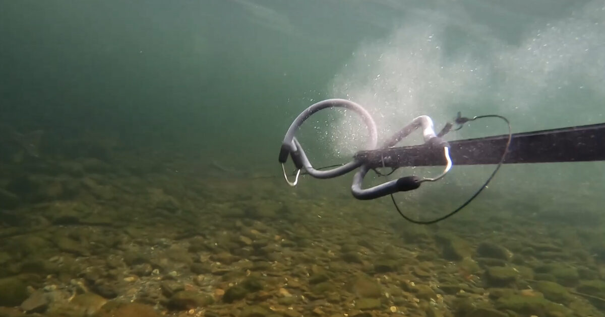 Harpun er mest effektivt for å ta ut rømt oppdrettslaks på gyteplassene ...