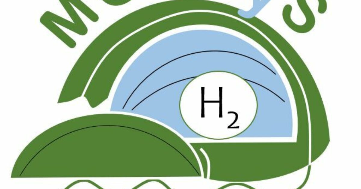 Microbiological Opportunities and Challenges of Hydrogen Underground ...
