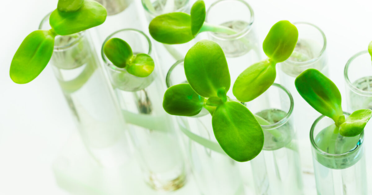 ReWrite New knowledge to navigate the rewriting of human/nature ...